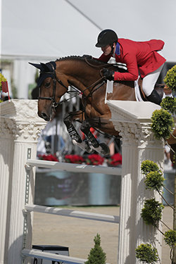 HH Azur - Horse Stars Hall of Fame