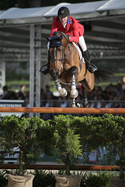 HH Azur - Horse Stars Hall of Fame