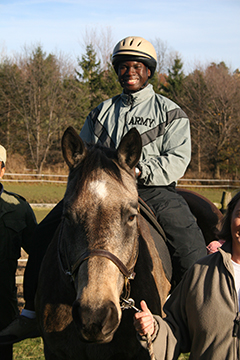 Rayne - Horse Stars Hall of Fame