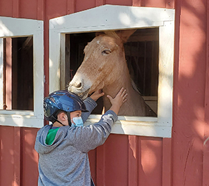 Elmer - Horse Stars Hall of Fame