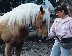 Sutter - Horse Stars Hall of Fame